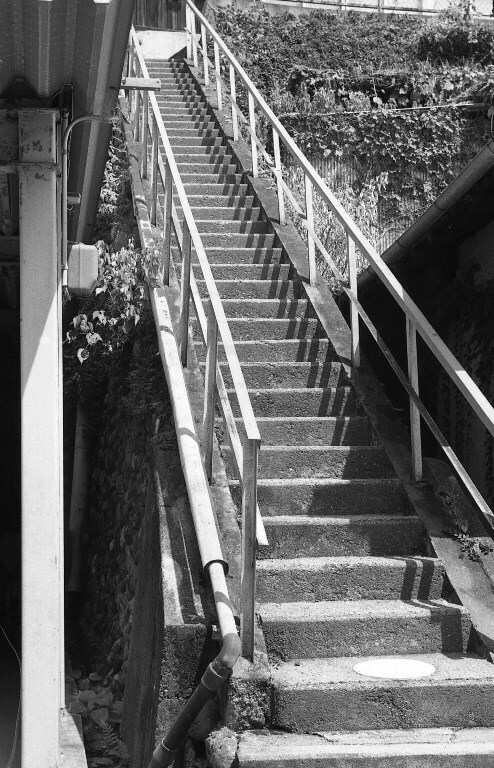 summitar 50/2.0: 「あっ！」露出計わすれた・・。